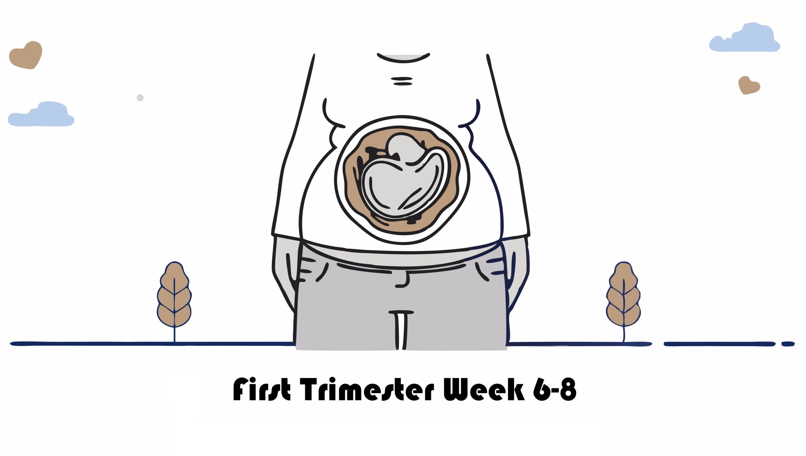 First Trimester Weeks 6-8 of pregnancy